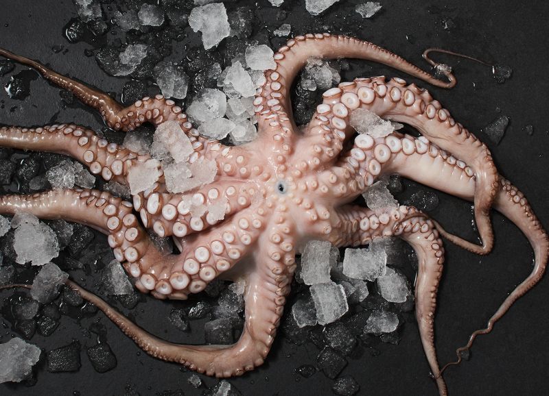 Pulpo perfekt zubereiten