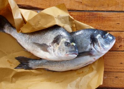 Frische Dorade Royal online kaufen • Deutsche See Lieferservice