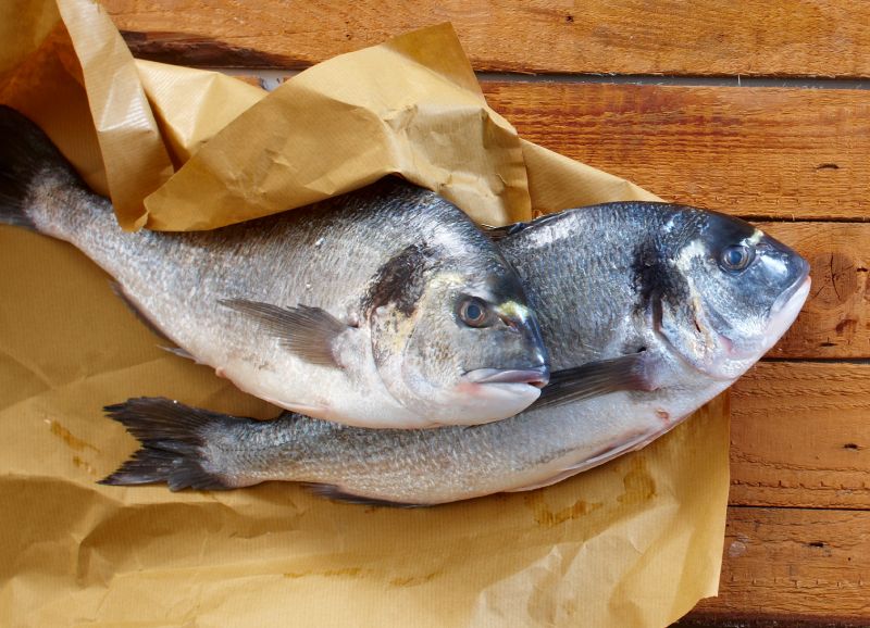 Frischen Fisch online bestellen