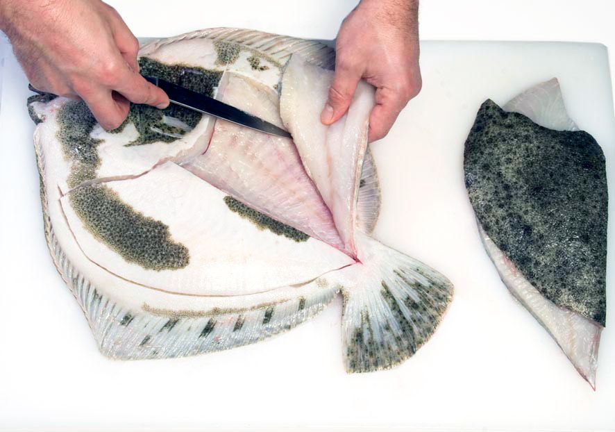 Wie filetiere ich einen Steinbutt?