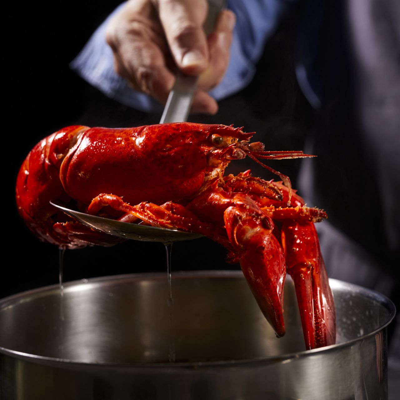 Rezepte mit Fisch & Meeresfrüchte