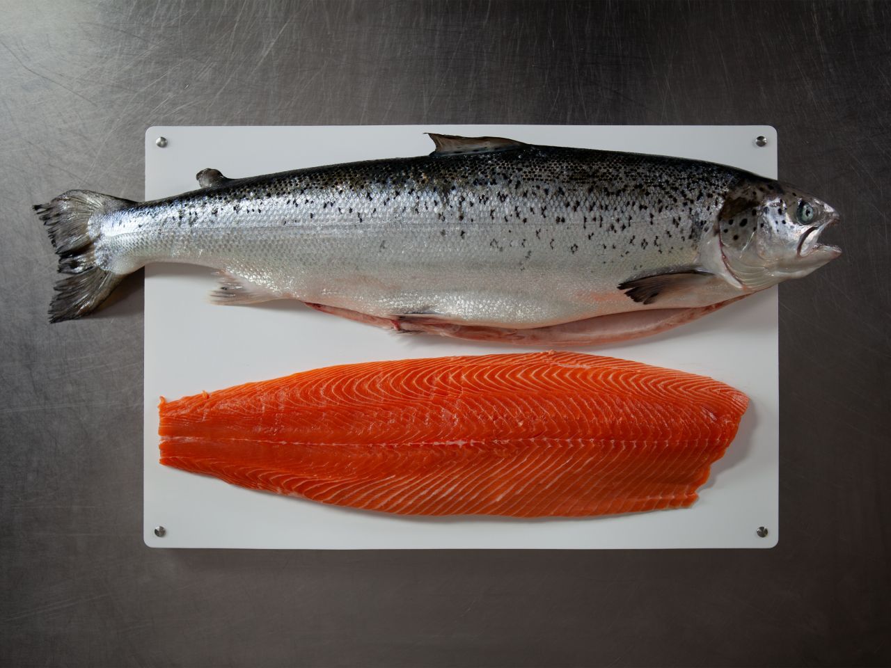 Wie filetiere ich einen Lachs? - So geht's