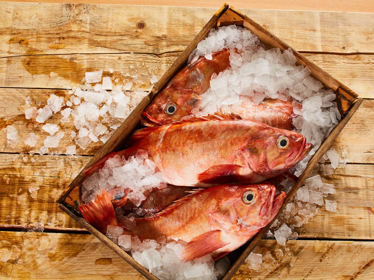 Rotbarschfilet - frisch und vielfältig