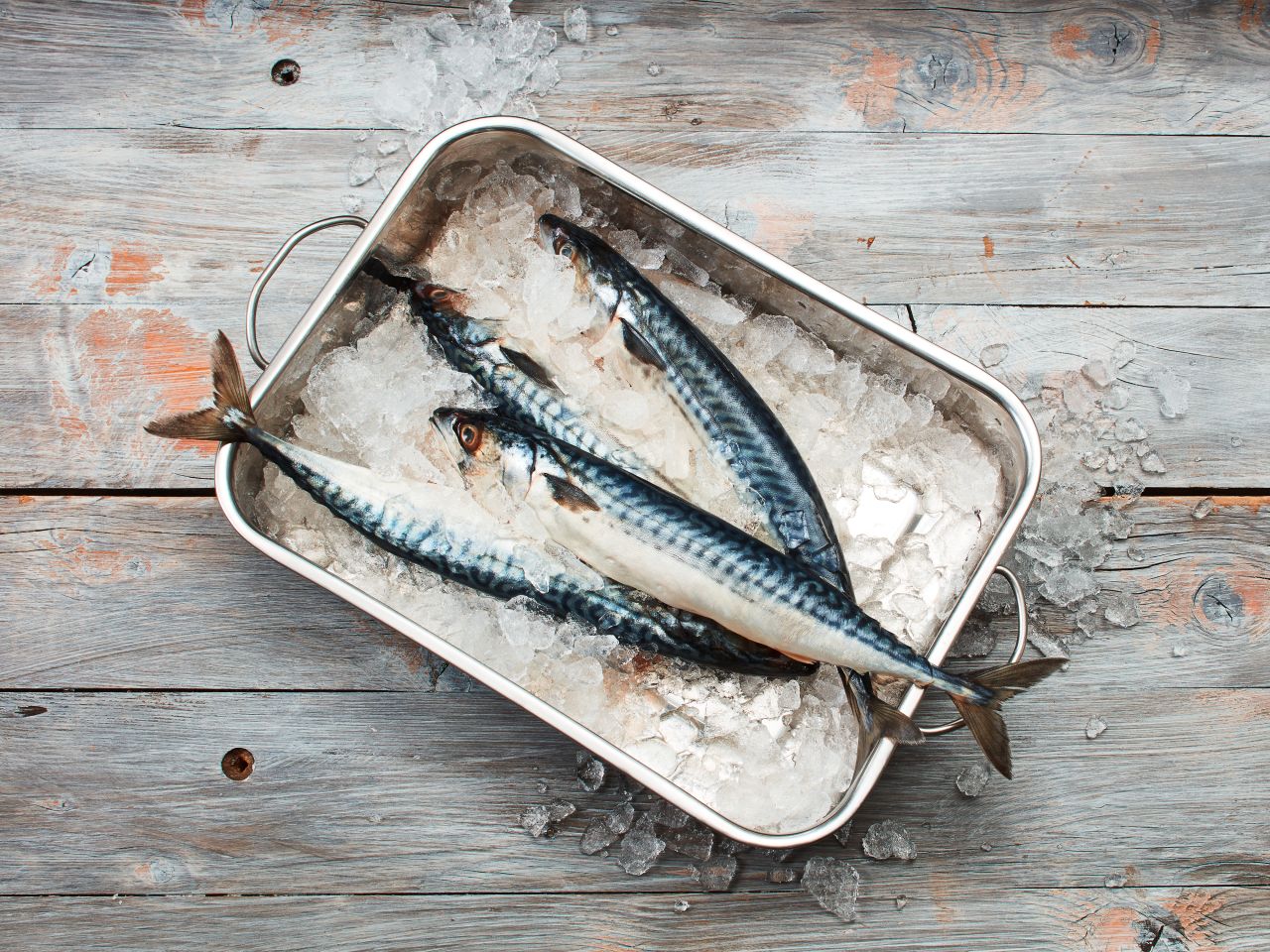 Makrele direkt zu Ihnen nach Hause - Onlinekauf bei Deutsche See!