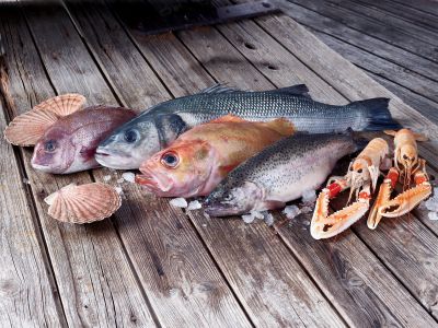 Geschäftskunden: Ihr Partner für Fisch & Meeresfrüchte