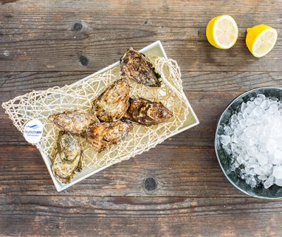 Austern öffnen - So geht's