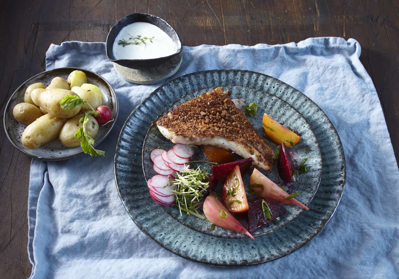 Rotbarschfilet - frisch und vielfältig