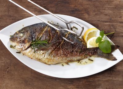 Dorade - begehrter Speisefisch aus dem Mittelmeer