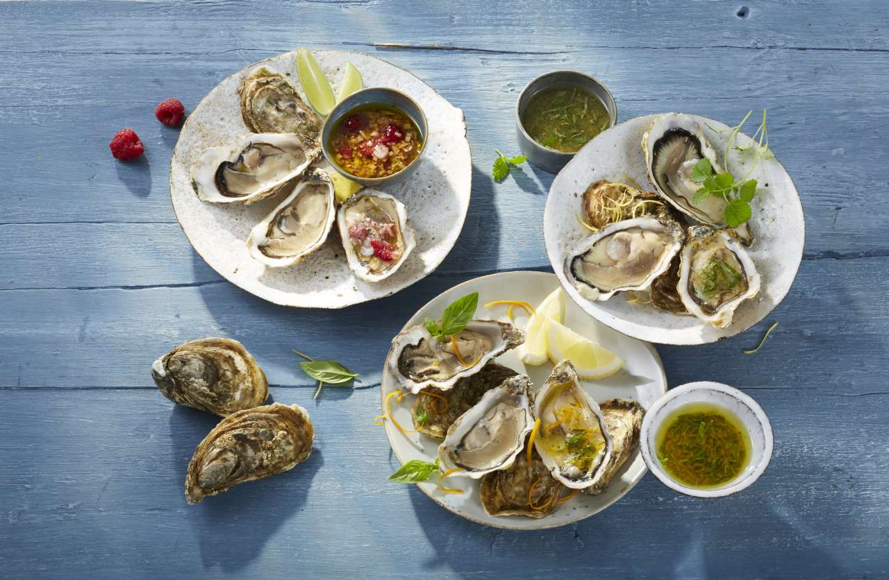 Fines de Claire Austern kaufen | Deutsche See Shop