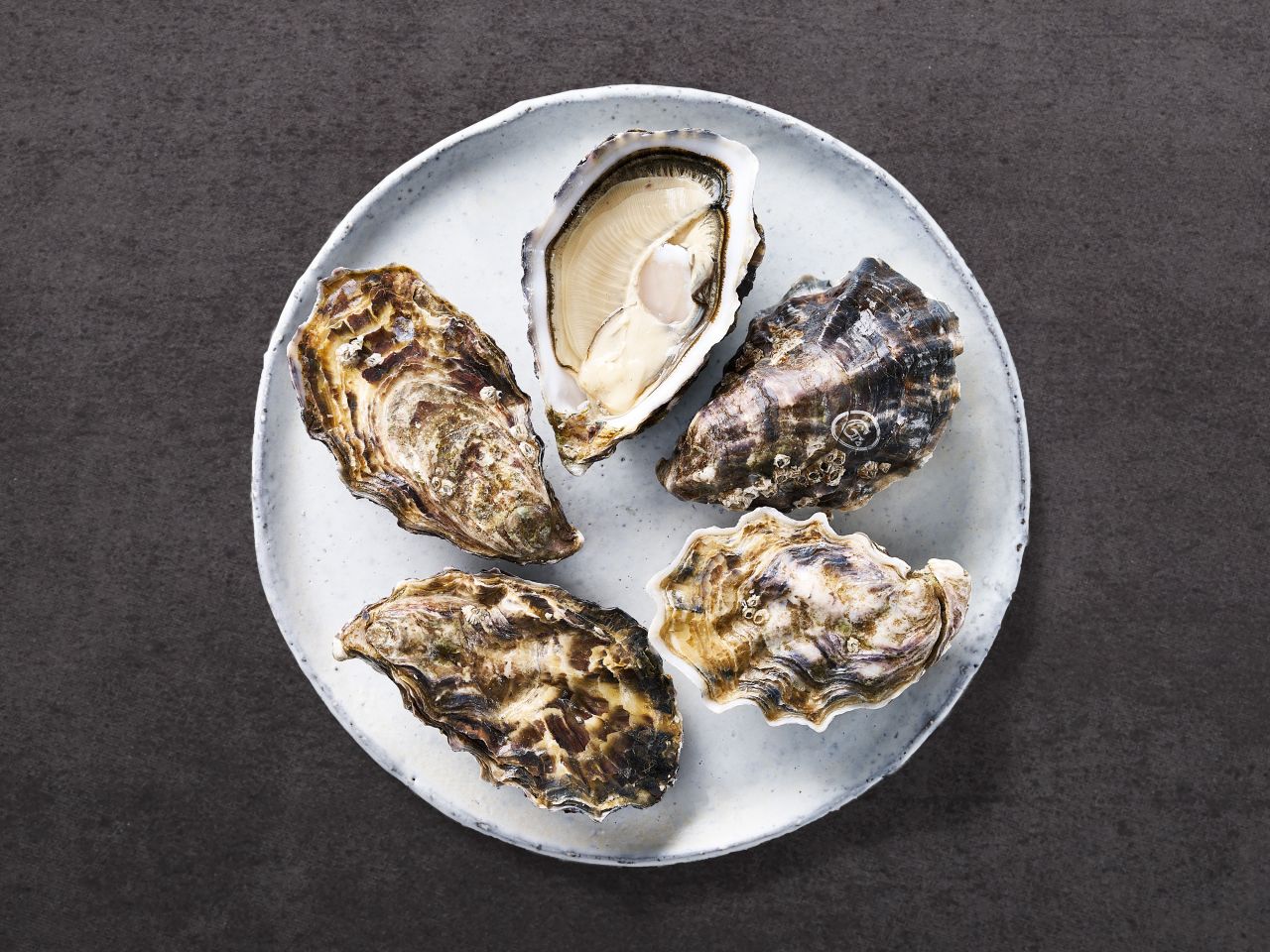 Frische Austern jetzt kaufen bei Deutsche See