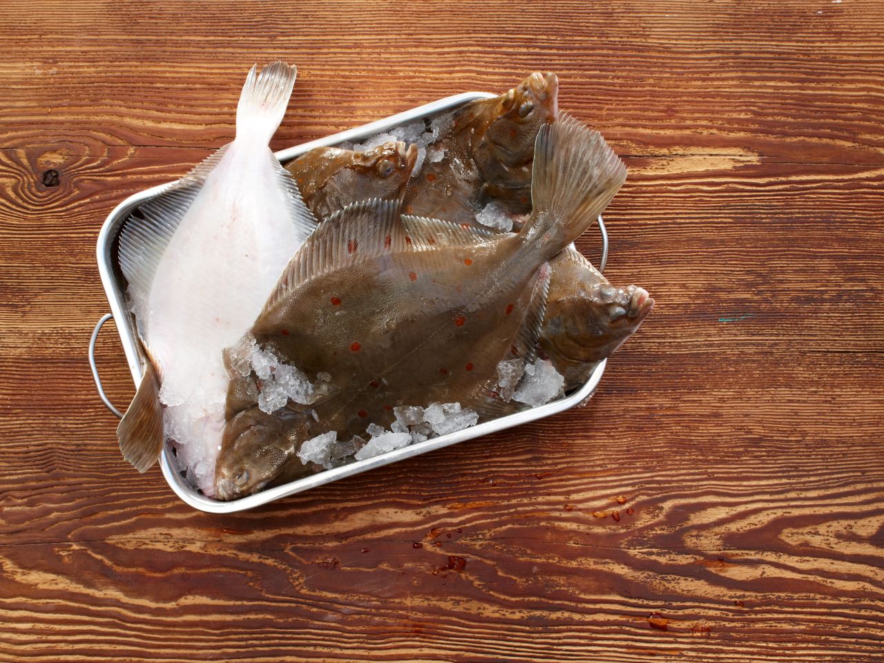 Jetzt Scholle online bestellen