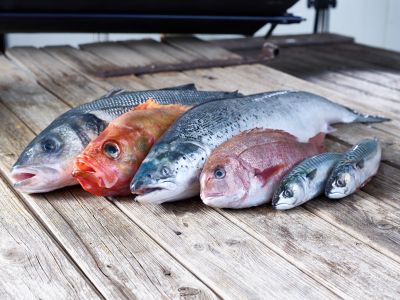 Ganze Fische Online bestellen bei Deutsche See