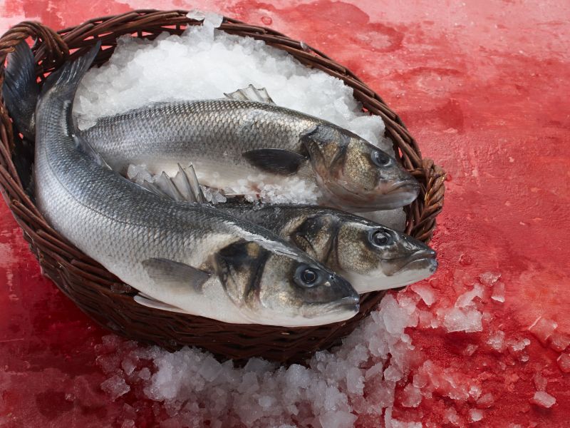 Wolfsbarsch - beliebter Mittelmeerfisch