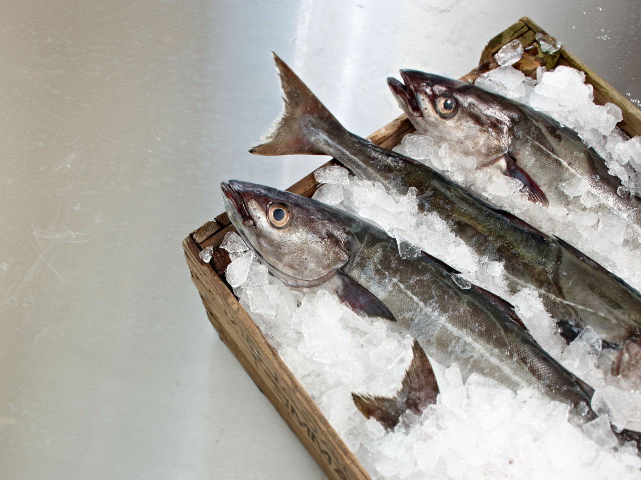 Seelachsfilet - ein beliebter Klassiker