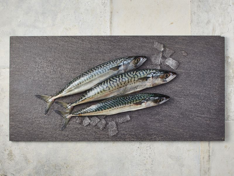 Makrele direkt zu Ihnen nach Hause - Onlinekauf bei Deutsche See!